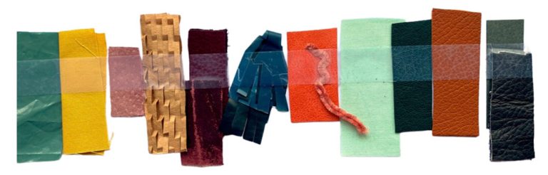 Colour Forecast – Intercolor